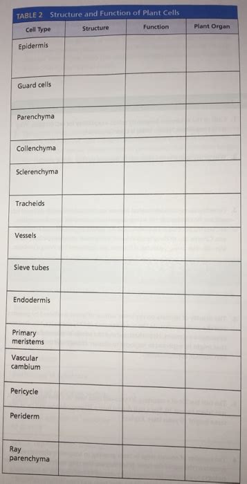 1 Use Table 2 To Describe The Structure And Function Chegg Com