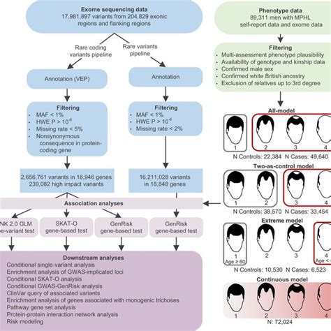 Overview Of The Analysis Workflow Exome And Phenotype Data Obtained Download Scientific Diagram