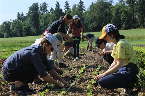 New vegetable storage on the Hönggerberg campus harvest share of meh als gmües ETH Zurich