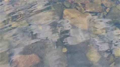 시원한 계곡물놀이 시냇물소리 물소리 Youtube