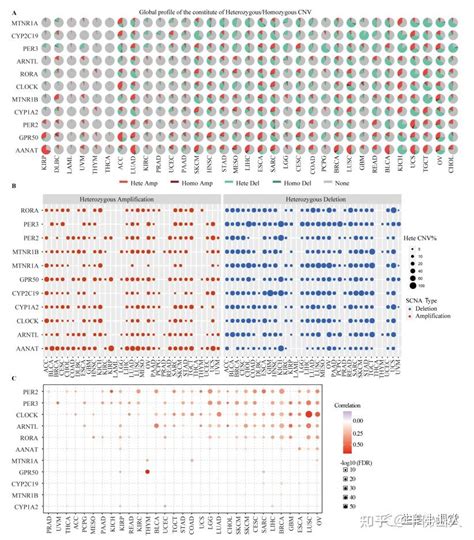 13 Sci 基因集泛癌分析纯生信 可重复 知乎