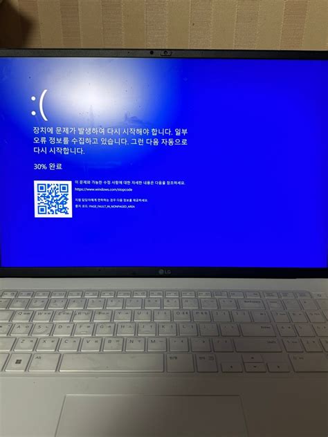 그램 노트북 블루스크린 지식in