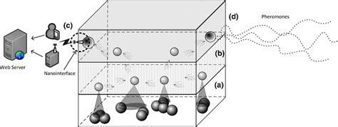 Full Molecular Nanonetwork Illustration A Short Range Layer With