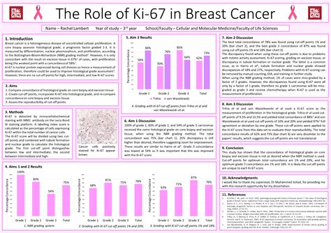 The Role Of Ki 67 In Breast Cancer Bristol Institute For Learning And