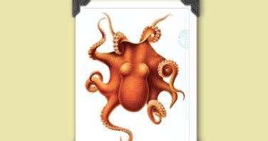 Umple Corner Let S Get Awesome Tear Off Sheets