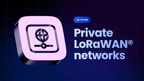 Benefits Of Private Lorawan® Networks The Sweet Spot Of Iot The