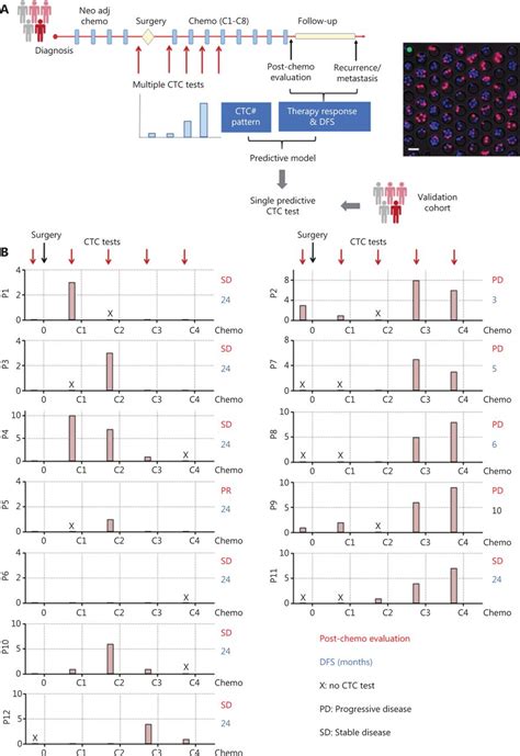 detection and surveillance of circulating tumor cells in osteosarcoma