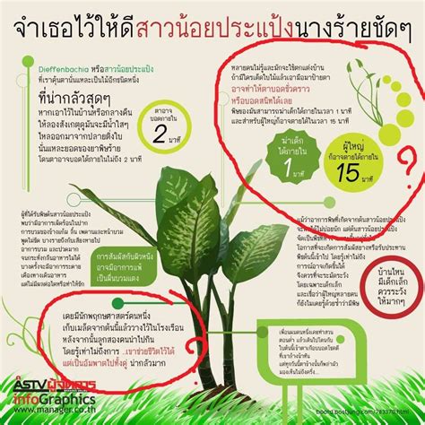 อันตรายจากสาวน้อยประแป้งที่แชร์ กับข้อมูลเท็จจริงที่ถูกต้อง