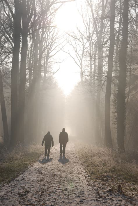 무료 이미지 경치 나무 숲 황야 실루엣 눈 겨울 사람들 태양 안개 햇빛 아침 가을 날씨 시즌 삼림지 서식지 자연 환 경 대기 현상 우디
