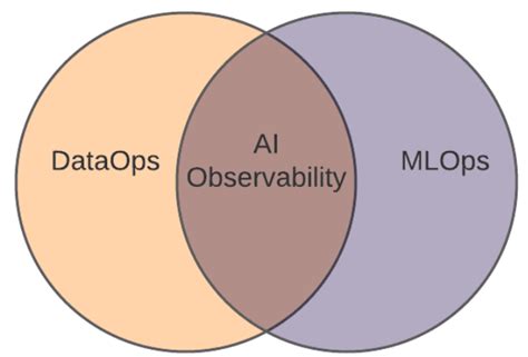 AI Observability How To Fix Issues With Your ML Model
