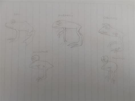 Speculative Evolution Evolutive Path Of The Bulborbs Rpikmin