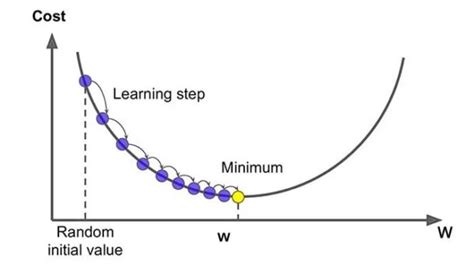 La Gradiente De Descenso Somoscognitivos