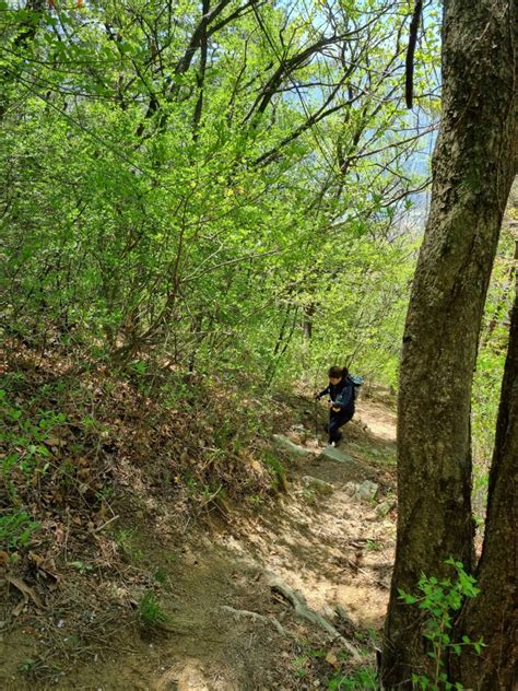 부산 장산 등산코스 멋진 해운대 도심과 해안 절경 개방된 정상까지 최단코스 산행 네이버 블로그