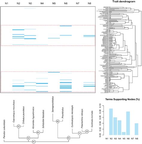 Clade Specific Bayesian Phylogenetic Information Components In The FISH Download Scientific