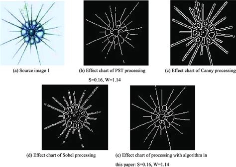 effect comparison chart 1 of all kinds of algorithms download