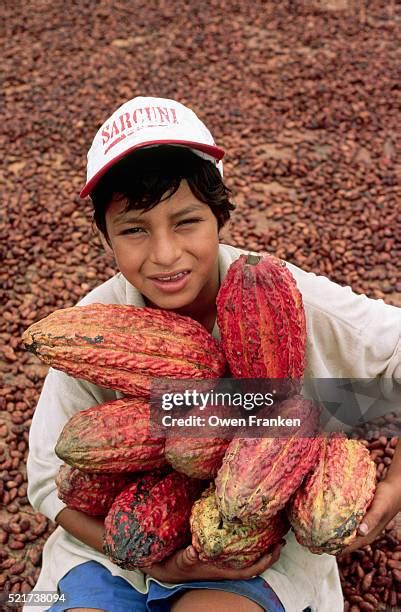 Boy Pod Photos And Premium High Res Pictures Getty Images