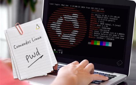 Comando Pwd En Linux Para La Terminal Felipe Jurado