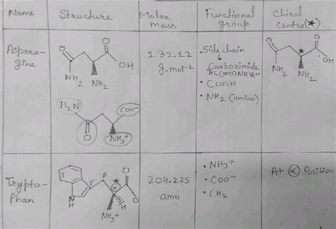 Building The Tripeptide 9 Assemble A Single