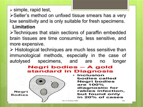 Rabies Pathology Rabies Causes Treatment Pdf