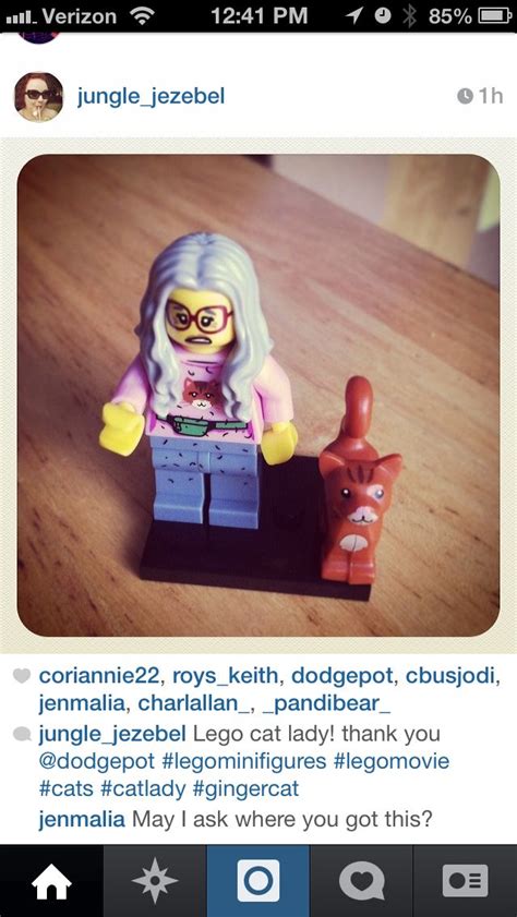 Crazy Cat Lady Lego Minifig Need Crazy Cats Cat Lady Lego Movie