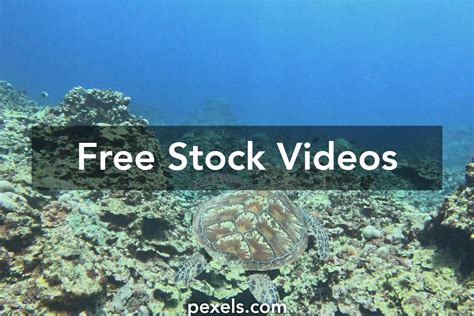 Hotanimegirllivewallpapers Videos Download The Best Free 4k Stock