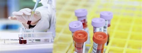 importance of liver and renal function tests mahajan imaging and labs