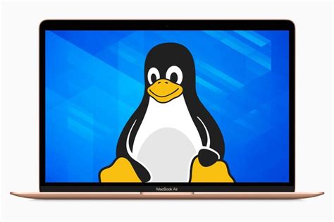 Mohammed Berdai On Linkedin Easily Run Linux Virtual Machines For Free