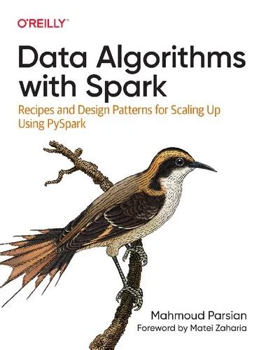 data algorithms with spark recipes and design patterns for scaling up