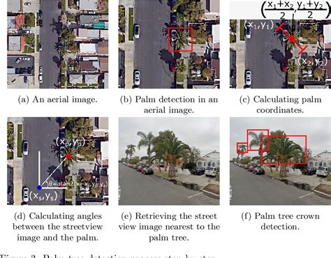 Figure 1 From Automatic Large Scale Detection Of Red Palm Weevil