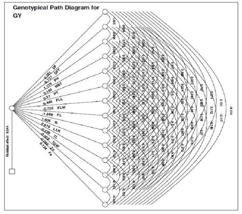 Path Diagram For Grain Yield With Yield Components Download