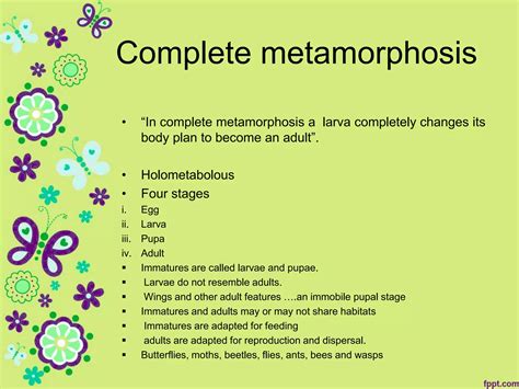 Metamorphosis In Insects Its Types Mubaika Seher Ppt