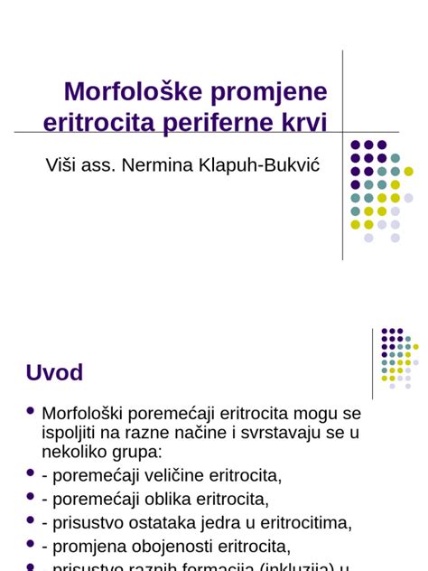 Morfološke Promjene Eritrocita Periferne Krvi Viši Ass Nermina Klapuh