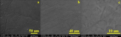 Sem Appearance Of The Enamel Belonging To The Group Bleached With Download Scientific Diagram