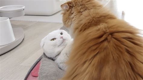 새해 첫날부터 Youtube