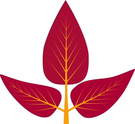 Premium Vector Autumn Tree Leaf