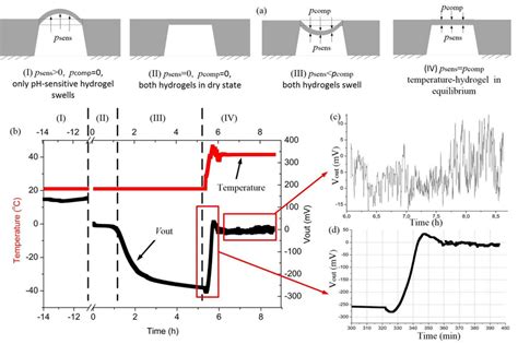A Deflection Of The Membrane Of The Piezoresistive Pressure Sensor Download Scientific