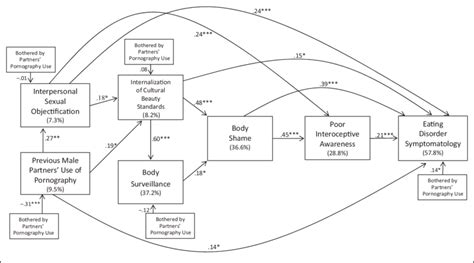 Final Model Standardized Path Coefficients Are Presented And The Download Scientific Diagram