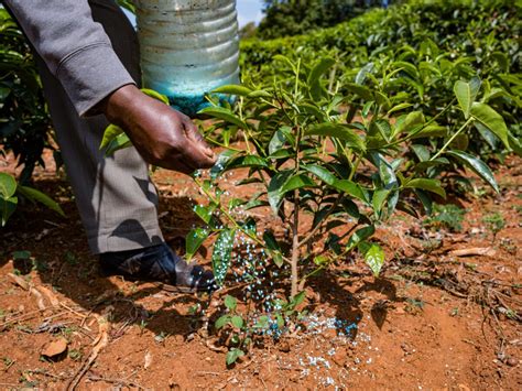 Basal Application Agriculture Monthly