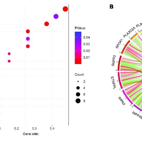 Functional Enrichment Analysis A Bubble Plot Of Enriched Go Terms Download Scientific