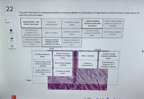 22 Drag Each Label Into The Appropriate Position To