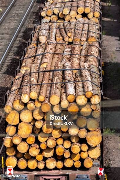 많은 운송 철도 객차가 있는 클로즈업 보기 철도 분류 스테이션 철도 차량 나무 목재 통나무 및 가스 탱크 물류 원료 목재 난방 재료 운송 화물 화물 운송 객차에 대한 스톡
