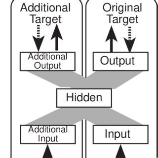 2 Three Layer Networks With Additional Input Output Layers Download Scientific Diagram