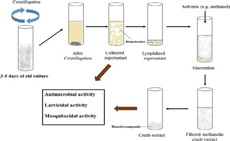 Schematic Representation Of The Novel Extraction Method Adapted For The