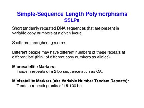 PPT Simple Sequence Length Polymorphisms PowerPoint Presentation ID