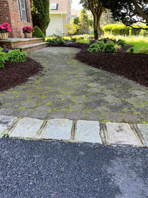 Moss On Pavers W New Polymorphic Sand Community Forums