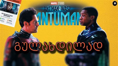 ფანის გულახდილი მოსაზრება ენთმენი და ვასპი კვანტუმანია Youtube