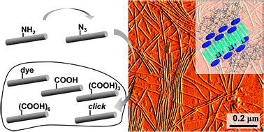 A Modular Approach Towards Functional Decoration Of Peptide Polymer Nanotapes Chemical