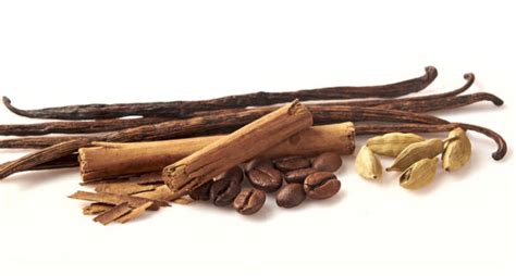 Natural Hazelnut Flavoring Pure Hazelnut Extract Beanilla