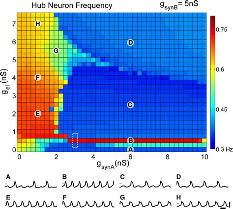hub neuron frequency as a function of g el and g syna color map of mean