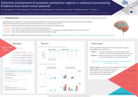 Pdf Selective Involvement Of Posterior Perisylvian Regions In